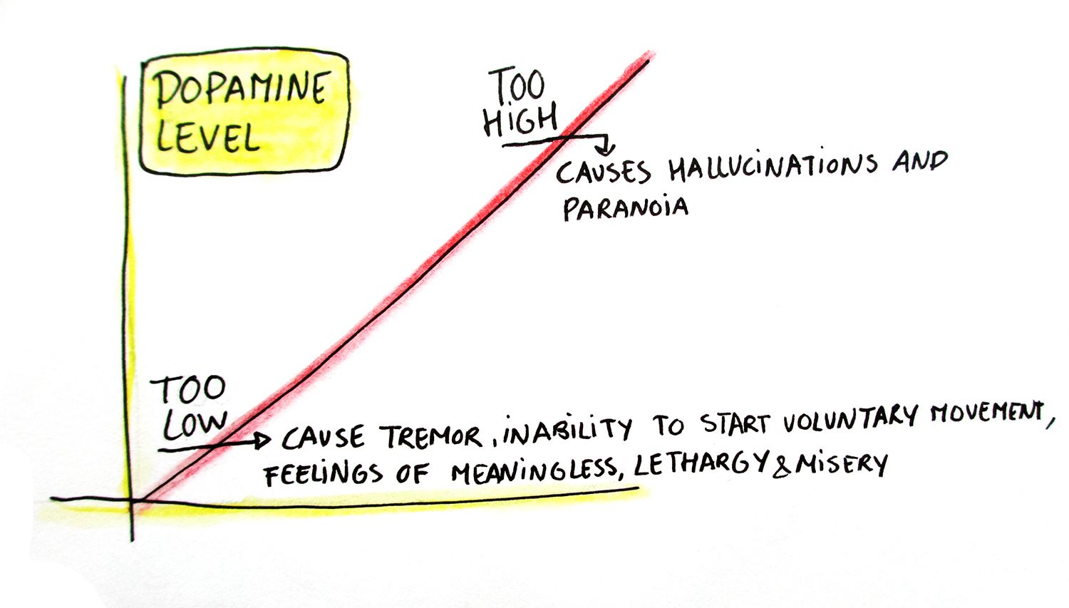 The introvert brain explained - Magical Daydream